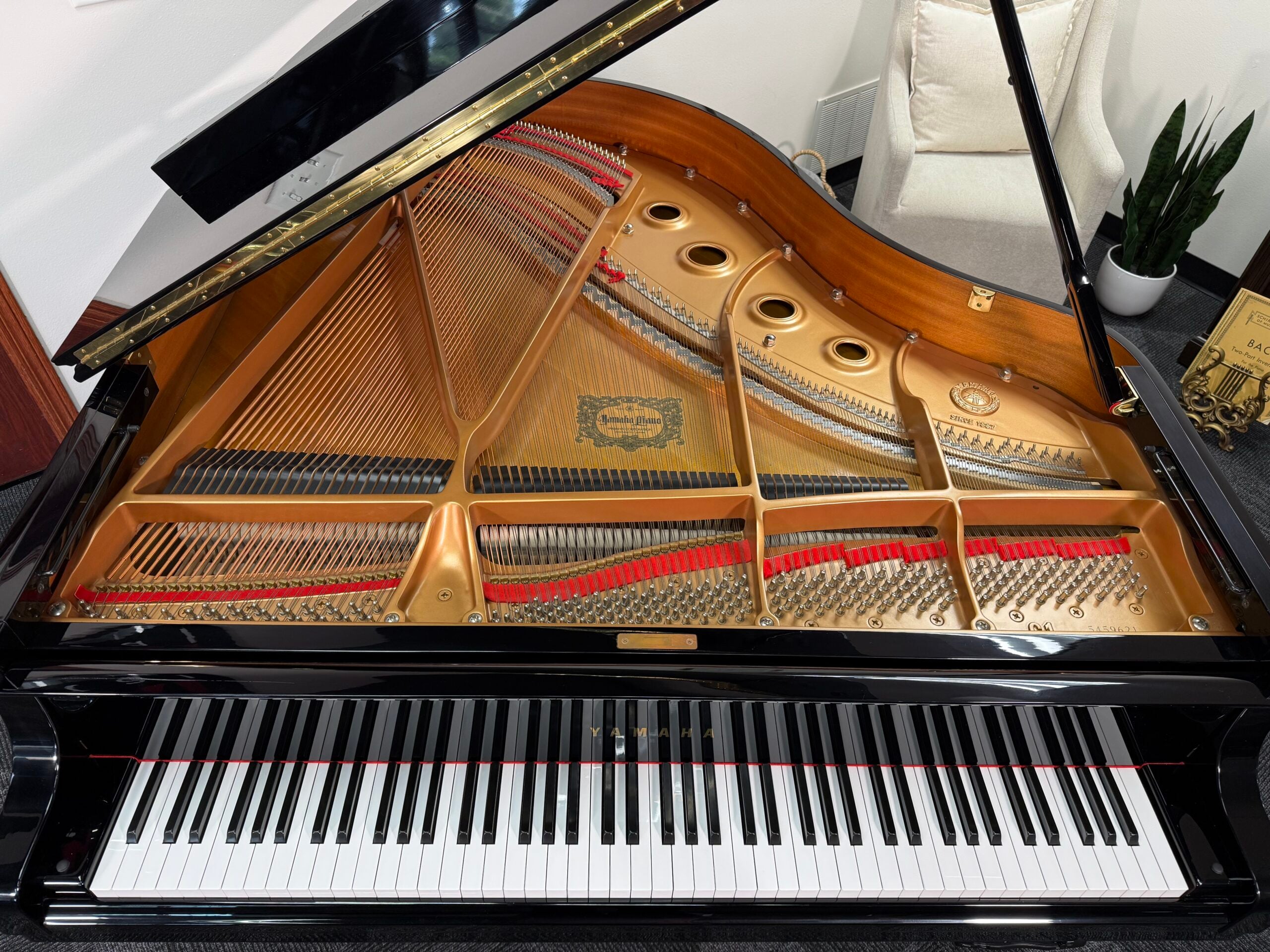 Yamaha C1 - Brock Family Music