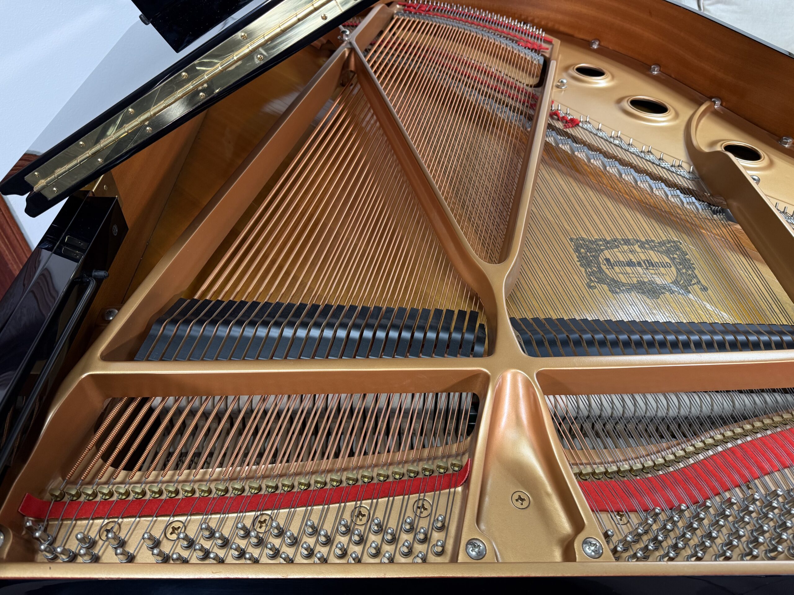 Yamaha C1 - Brock Family Music